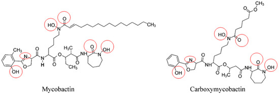 Pharmaceuticals | Free Full-Text | Iron Supplementation Therapy, A ...