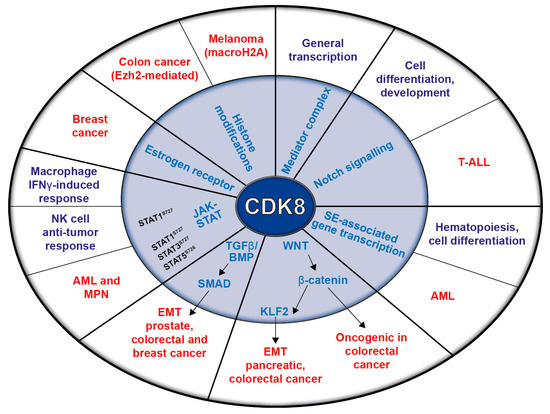 CDK8-Novel Therapeutic Opportunities