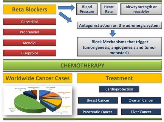 Pharmaceuticals | Free Full-Text | Beta-Blockers and Cancer: Where Are We?