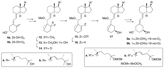 Strategies for the Synthesis of 19-nor-Vitamin D Analogs
