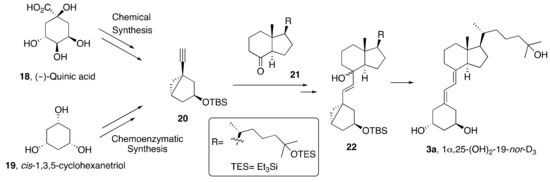 Strategies for the Synthesis of 19-nor-Vitamin D Analogs