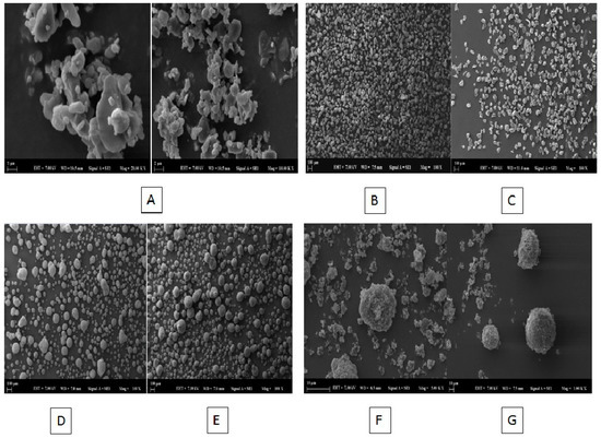 A Solid Ultra Fine Self-Nanoemulsifying Drug Delivery System (S-SNEDDS ...
