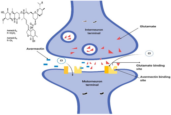 Avermectin Derivatives, Pharmacokinetics, Therapeutic and Toxic Dosages ...