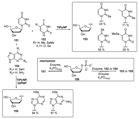 Sweet Selenium: Synthesis and Properties of Selenium-Containing Sugars ...