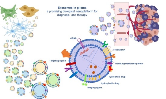 Pharmaceuticals | Special Issue : Exosomes as a Tool for Disease ...