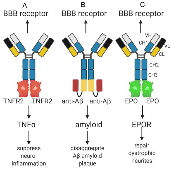 Treatment of Alzheimer’s Disease and Blood–Brain Barrier Drug Delivery