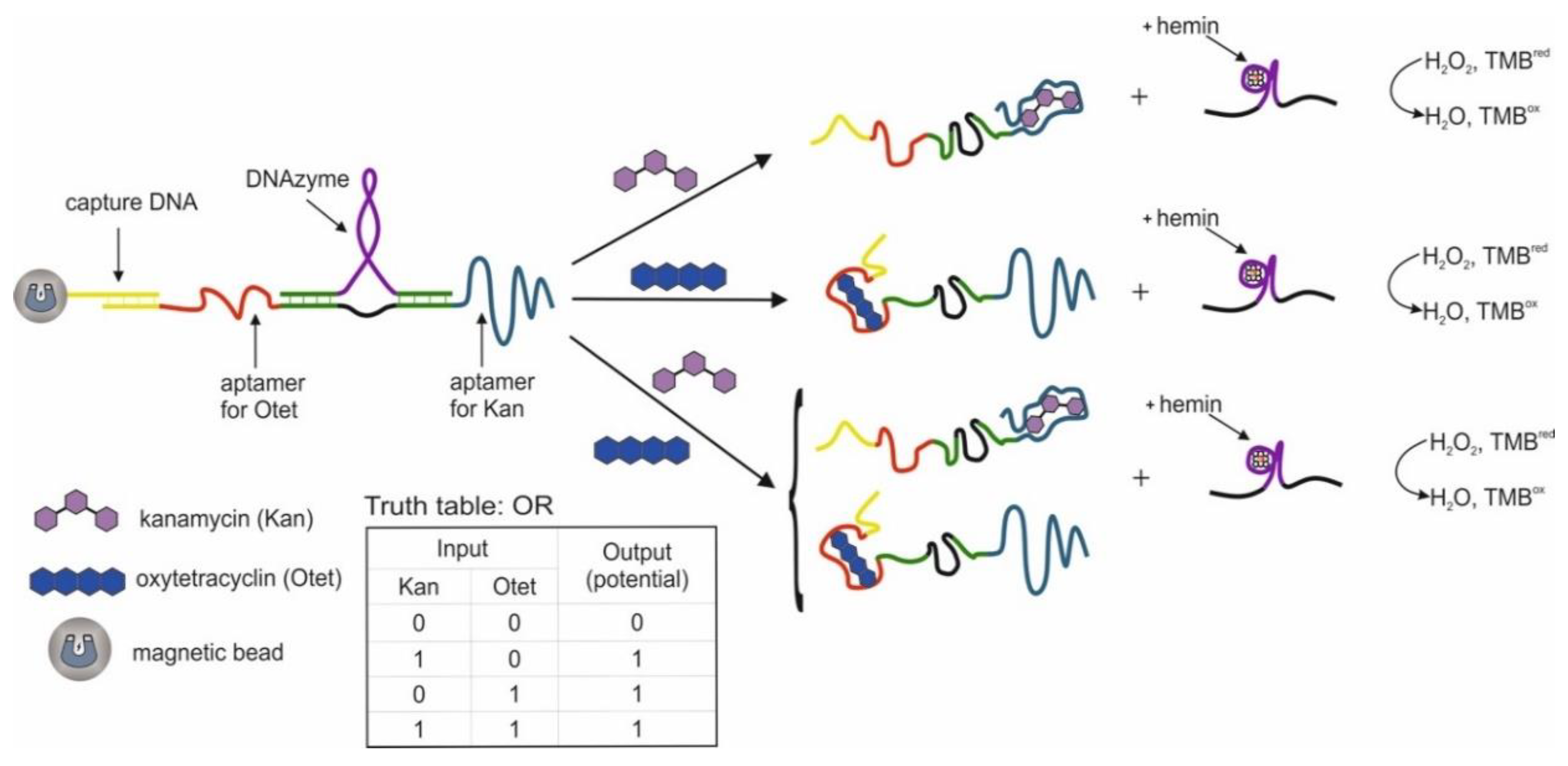 Logic Gates Based on DNA Aptamers