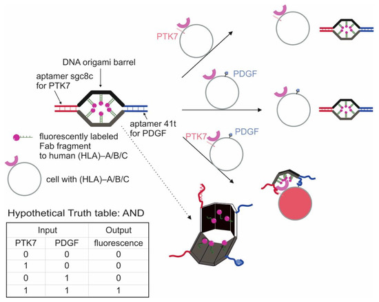 Logic Gates Based on DNA Aptamers
