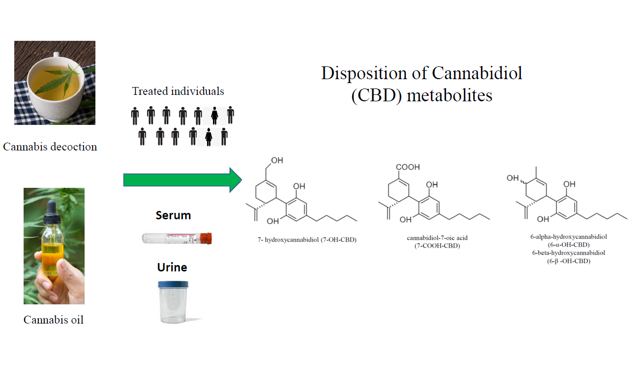 Pharmaceuticals | Free Full-Text | Disposition of Cannabidiol ...