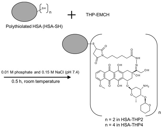 Synthesis and In Vitro Assessment of pH-Sensitive Human Serum Albumin ...