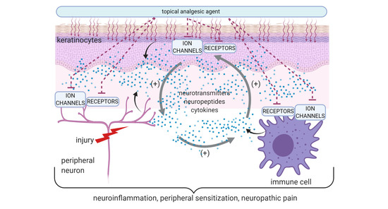 Pharmaceuticals | Free Full-Text | Peripheral Mechanisms of Neuropathic ...