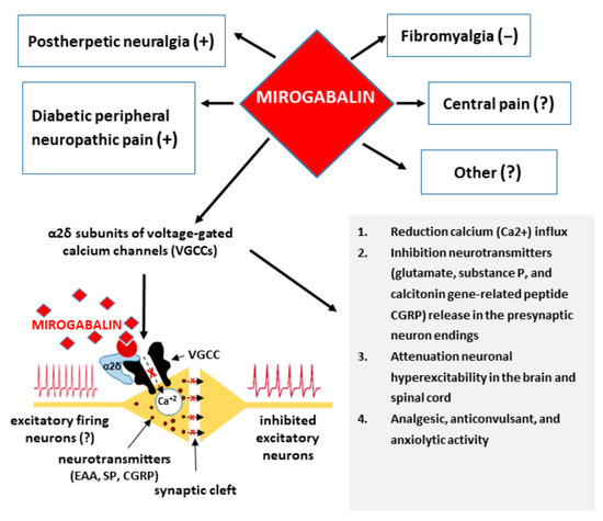 Mirogabalin—A Novel Selective Ligand for the α2δ Calcium Channel Subunit