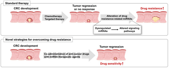 Pharmaceuticals | Free Full-Text | MicroRNA-Based Therapeutics for Drug ...