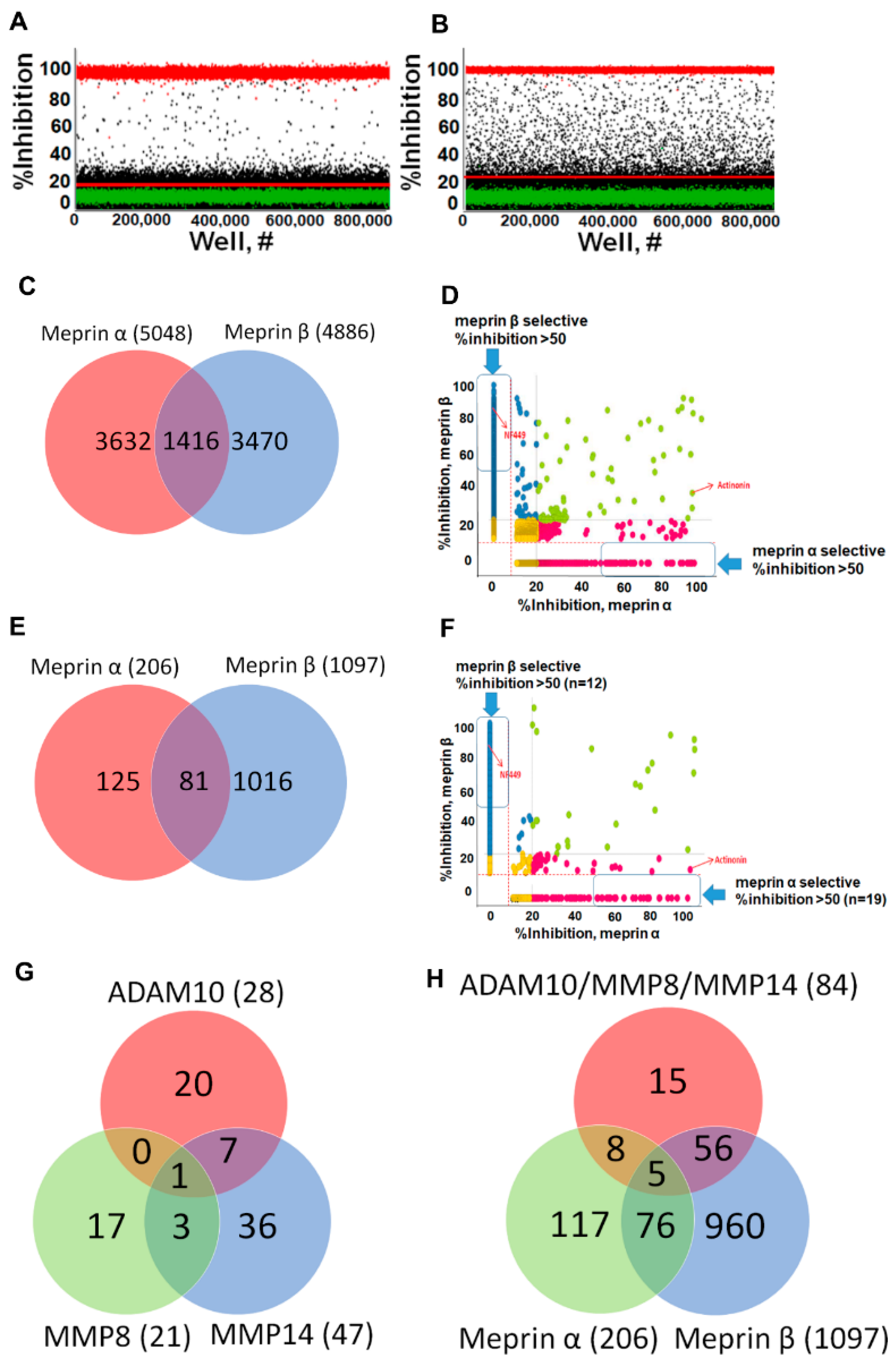 Discovery and Optimization of Selective Inhibitors of Meprin α (Part I)