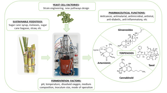 Pharmaceuticals | Free Full-Text | Fermentation Strategies for ...