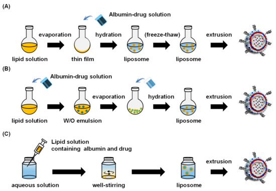 When Albumin Meets Liposomes: A Feasible Drug Carrier for Biomedical ...