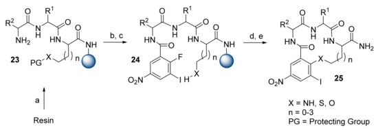 Heterocycles as a Peptidomimetic Scaffold: Solid-Phase Synthesis Strategies