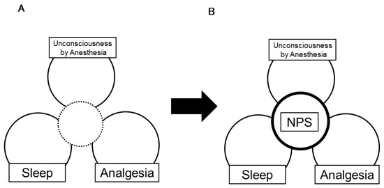 Roles of Neuropeptide S in Anesthesia, Analgesia, and Sleep
