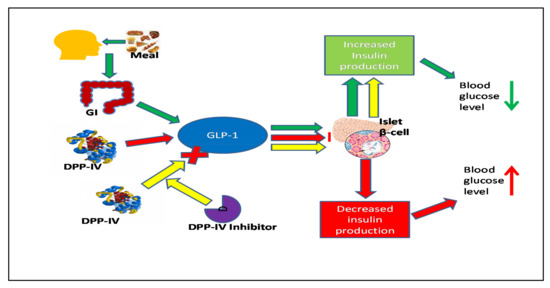 Dipeptidyl Peptidase (DPP)-IV Inhibitors with Antioxidant Potential Isolated from Natural ...
