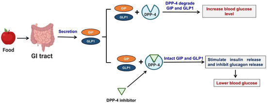 A Comprehensive Review and Perspective on Natural Sources as Dipeptidyl ...
