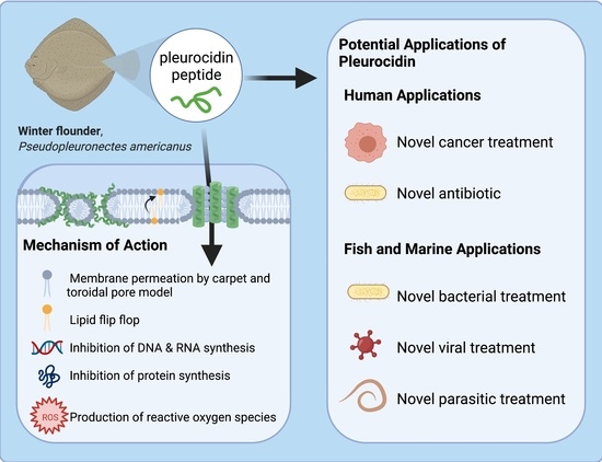 Pharmaceuticals | Free Full-Text | Investigating Potential Applications ...