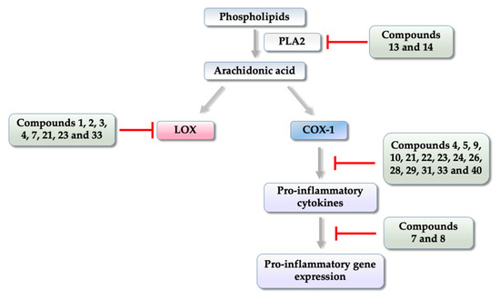 Thiophene-Based Compounds with Potential Anti-Inflammatory Activity