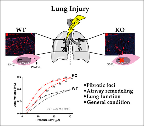 Pharmaceuticals | Special Issue : Lung Injury and Repair