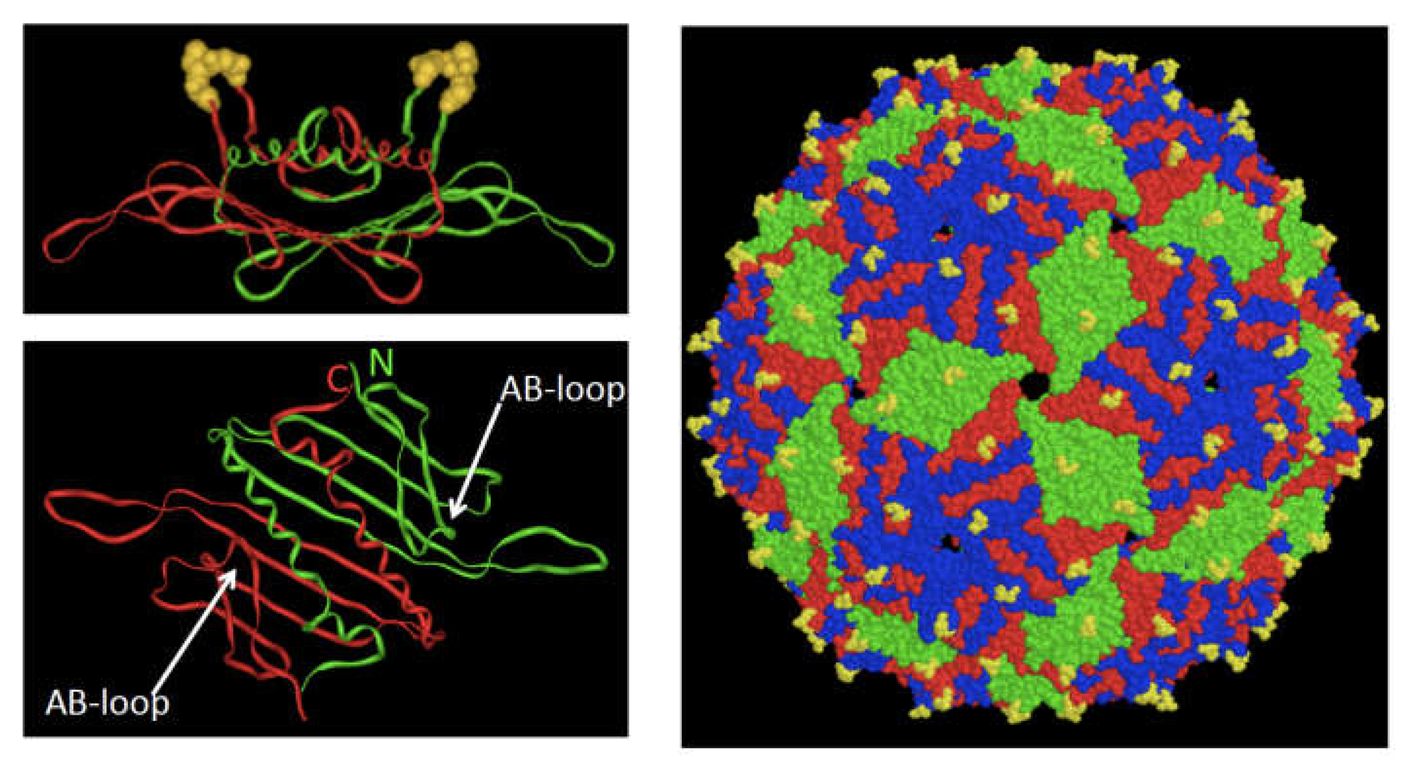 RNA Phage VLP-Based Vaccine Platforms