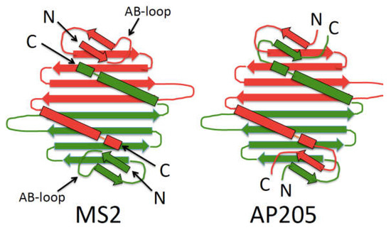 RNA Phage VLP-Based Vaccine Platforms