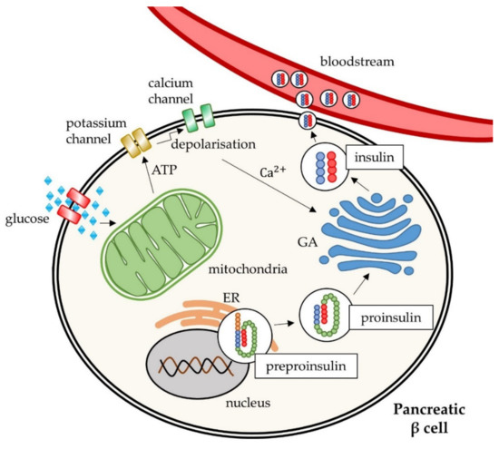 Pharmaceutical Drugs and Natural Therapeutic Products for the Treatment ...