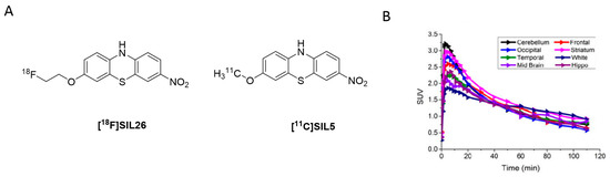 Alpha-Synuclein PET Tracer Development—An Overview about Current Efforts