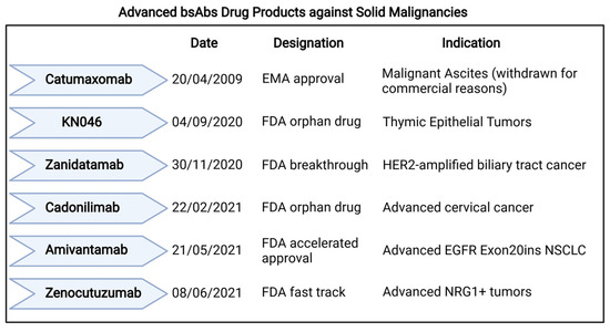 Research and Clinical Landscape of Bispecific Antibodies for the ...