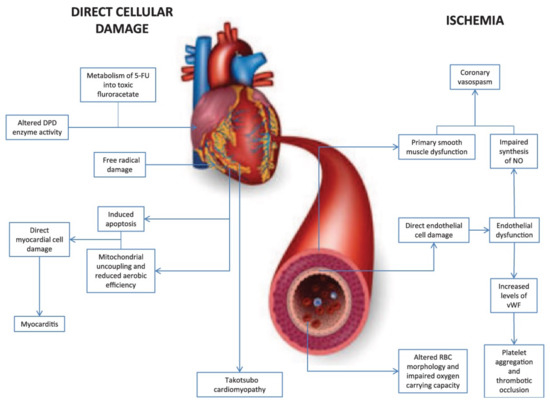 Anticancer Drug-Induced Cardiotoxicity: Insights and Pharmacogenetics