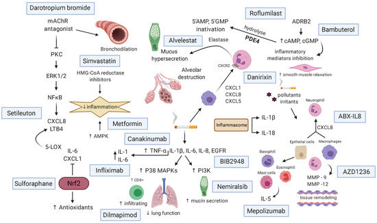 Pharmaceuticals | Free Full-Text | Mechanisms, Pathophysiology and ...