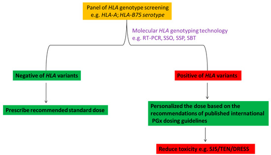 A Comprehensive Review of HLA and Severe Cutaneous Adverse Drug ...