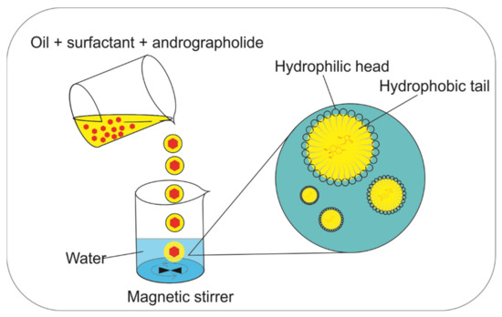 Antiviral Activities of Andrographolide and Its Derivatives: Mechanism ...