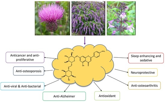Pharmaceuticals | Free Full-Text | Linarin, a Glycosylated Flavonoid ...