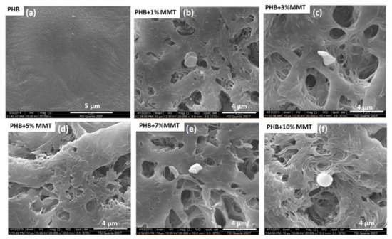 Polyhydroxybutyrate-Based Nanocomposites for Bone Tissue Engineering