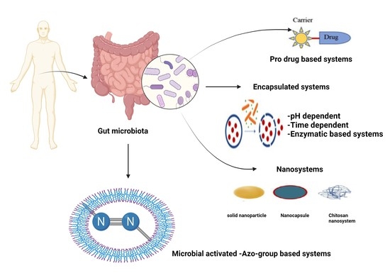 Pharmaceuticals | Free Full-Text | Exploiting the Metabolism of the Gut ...