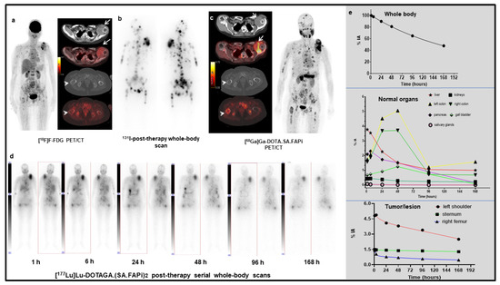 First-In-Human Results on the Biodistribution, Pharmacokinetics, and ...