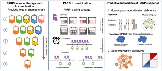 Pharmaceuticals | Free Full-Text | Expanding the Use of PARP Inhibitors ...