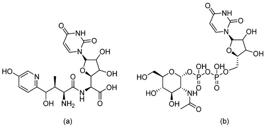 Advances in Antifungal Drug Development: An Up-To-Date Mini Review