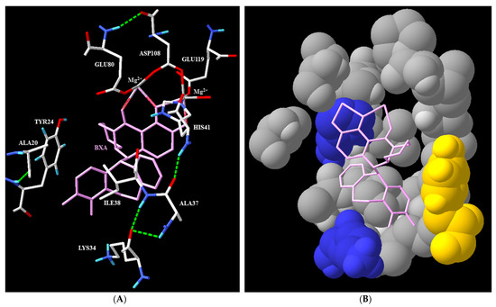 Baloxavir Marboxil: An Original New Drug against Influenza
