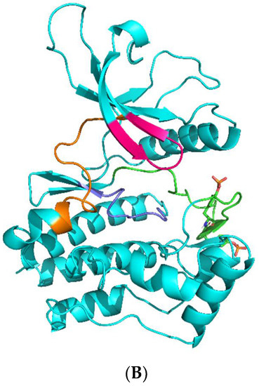 Molecular Modeling Insights into Upadacitinib Selectivity upon Binding ...