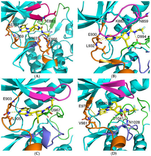 Molecular Modeling Insights into Upadacitinib Selectivity upon Binding ...