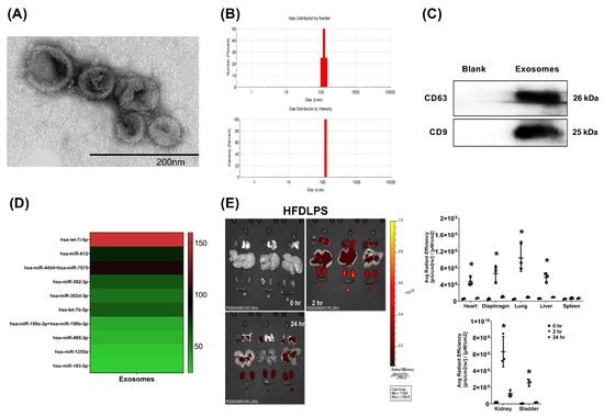 Let-7i-5p Mediates the Therapeutic Effects of Exosomes from Human ...