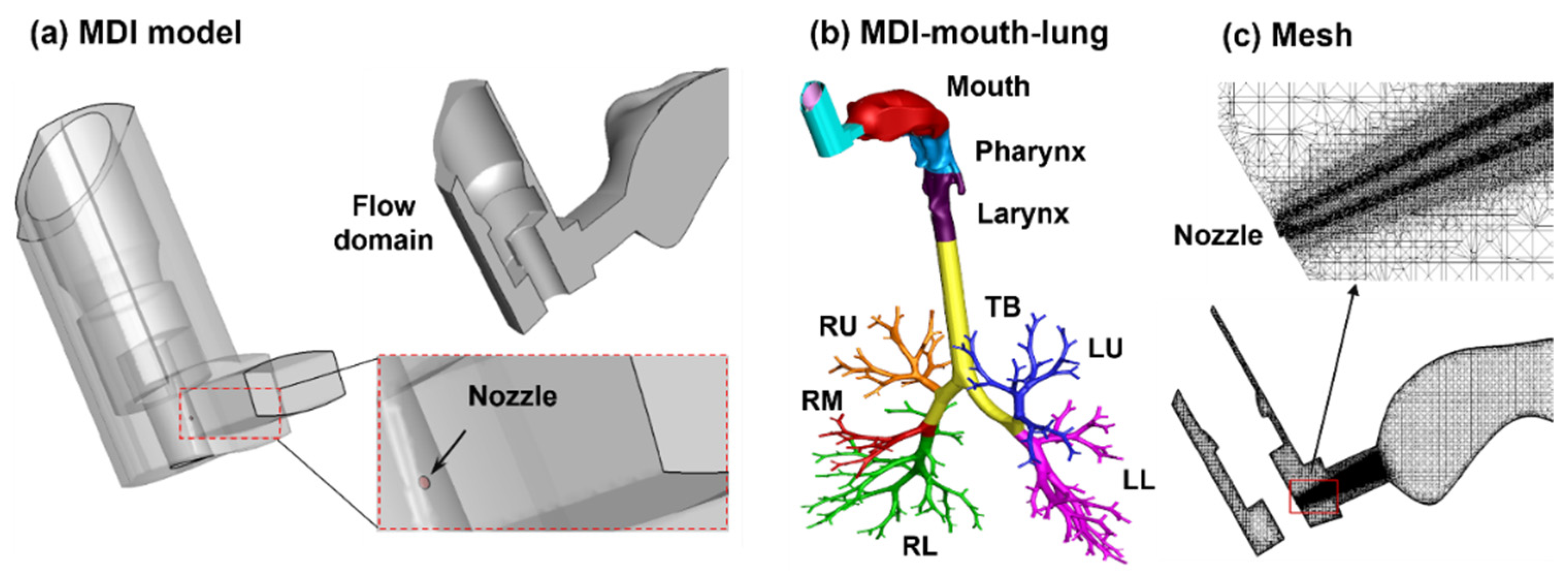 Effect of MDI Actuation Timing on Inhalation Dosimetry in a Human ...
