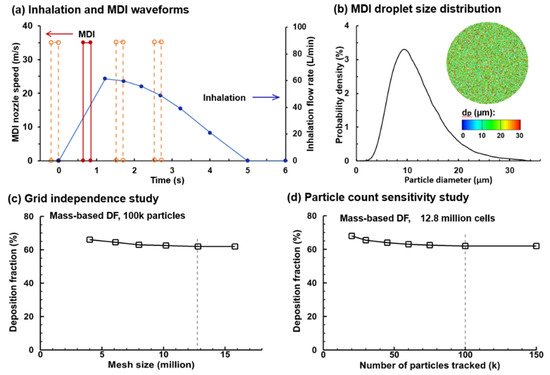 Effect of MDI Actuation Timing on Inhalation Dosimetry in a Human ...