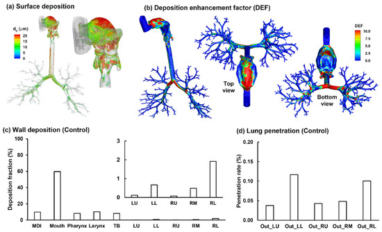 Effect of MDI Actuation Timing on Inhalation Dosimetry in a Human ...