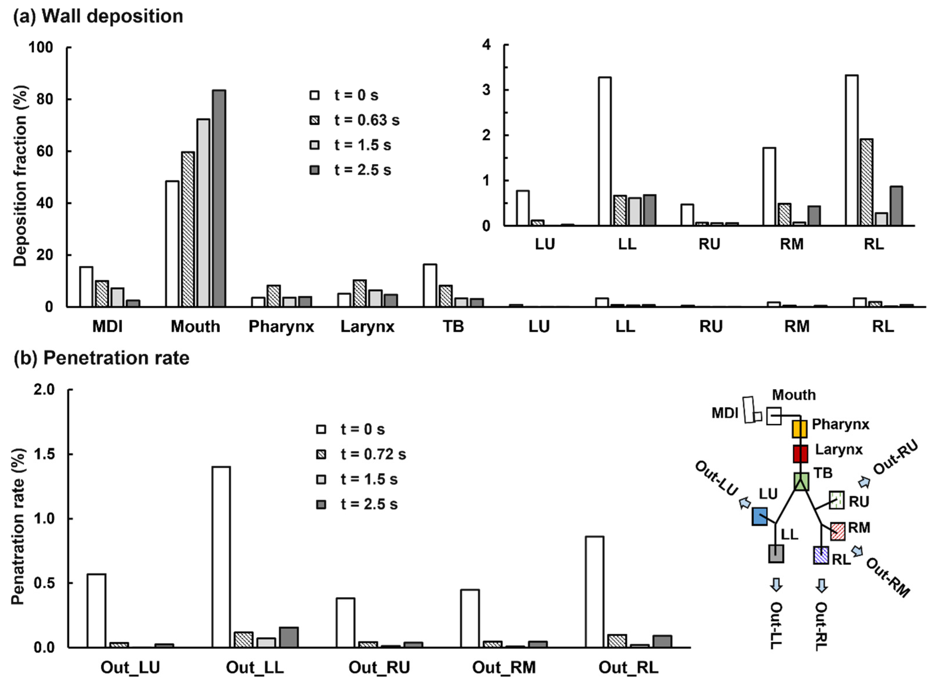 Effect of MDI Actuation Timing on Inhalation Dosimetry in a Human ...